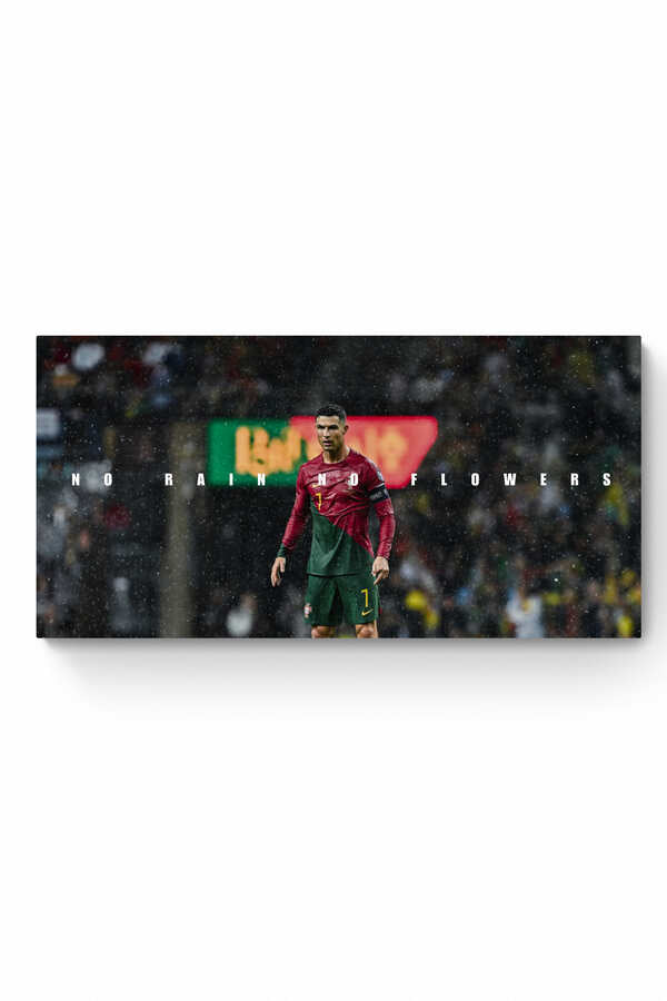 RONALDO - NO RAIN NO FLOWERS – redroar